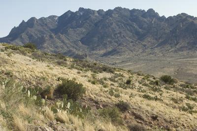 'Florida Mountains of the Mexico Borderland Seen From Rockhound State ...