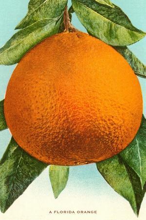 Florida Oranges Art Print | Art.com