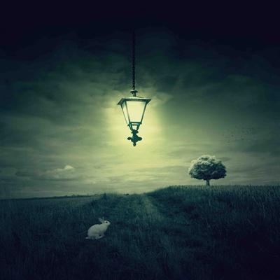 'Follow the White Rabbit' Photographic Print - Philippe Sainte-Laudy ...