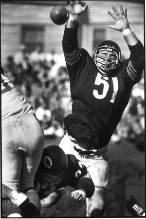 'Football: Chicago Bears Dick Butkus No.51 in Action, Blocking Passing ...