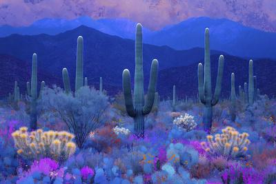 Fantasy of desert cacti and colorful flowers. (AI Generated) Premium ...