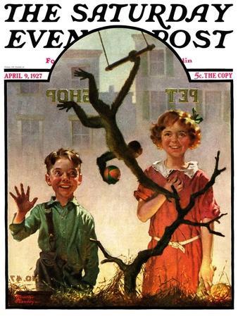 '"Pet Shop Monkey," Saturday Evening Post Cover, April 9, 1927' Giclee ...
