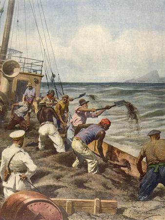 'Coffee Destroyed 1932' Art Print - Frederick Whymper | Art.com