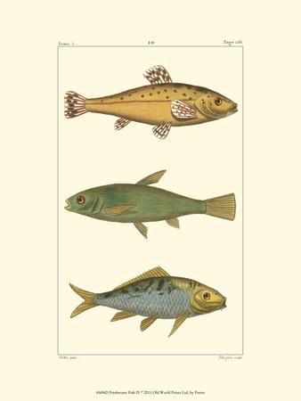 'Freshwater Fish IV' Art Print | Art.com