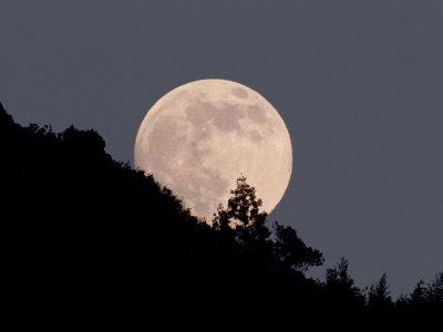 'Full Moon' Photographic Print | Art.com