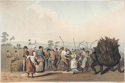 'Threshing Rape' Art Print - G Walker | Art.com