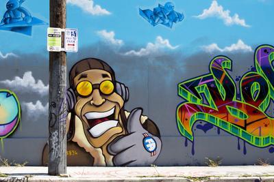 'Graffiti Street Art in the Wynwood Art District of Miami, Florida ...
