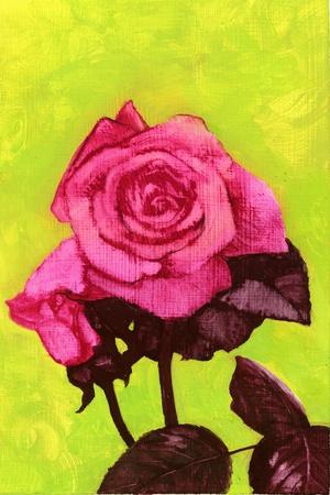 'Bright Rose, 1980s' Giclee Print - George Adamson | Art.com