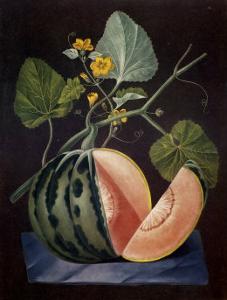 George Brookshaw Art: Prints, Paintings, Posters & Wall Art | Art.com