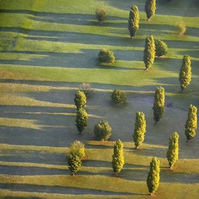 'Rhineland, Germany' Photographic Print - George Hammerstein | Art.com