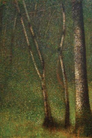 Forest at Pont Aubert Art Print - Georges Seurat | Art.com