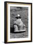 'Girl in a 1948 Vintage Austin J40 Pedal Car' Photographic Print | Art.com