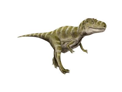 'Gorgosaurus Dinosaur' Art Print | Art.com