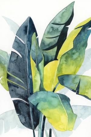 'Sunset Palm Composition III' Art Print - Grace Popp | Art.com