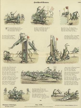 'Grasshopper Racing' Giclee Print | Art.com