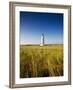 'Great Point Lighthouse' Photographic Print - Onne van der Wal | Art.com