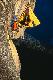 'Rock Climber Bivouacked in His Portaledge on an Overhanging Cliff.' Photographic Print - Greg ...