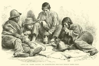 'Group of "Indios Mansos," or Domesticated Peruvian Indians from Cuzco ...