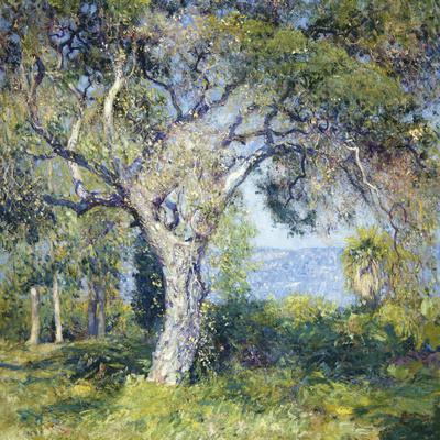 Famous Impressionist Tree Paintings