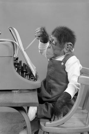 '1950s CHIMP IN OVERALLS SITTING IN CHAIR AT TYPEWRITER WITH PENCIL ...