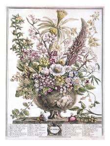 H. Fletcher Art: Prints, Paintings, Posters & Wall Art | Art.com