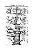'Haeckel's Scheme of Evolution Displayed in the Form of a Tree, 1910 ...