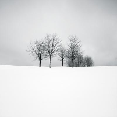 'Wintertide' Giclee Print - Hakan Strand | Art.com