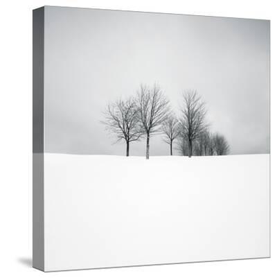 'Wintertide' Stretched Canvas Print - Hakan Strand | Art.com