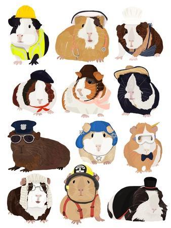 'Guinea Pig Working Hr' Giclee Print - Hanna Melin | Art.com
