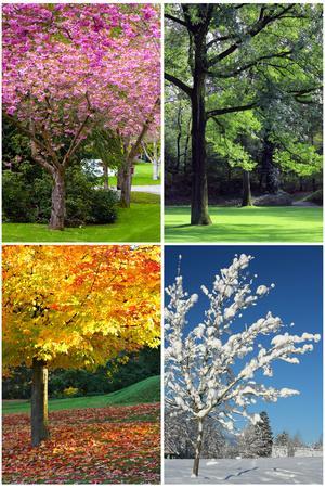 'Four Seasons Collage: Spring, Summer, Autumn, Winter' Art Print ...