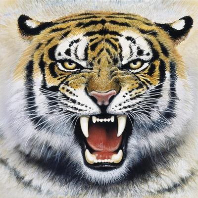 Tiger Print