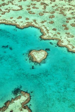 'Heart Reef I' Photographic Print - Larry Malvin | Art.com