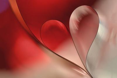 'Lean on Your Heart' Photographic Print - Heidi Westum | Art.com