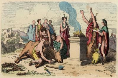 'Ancient Greece : Ritual Bull Sacrifice - Greece at the time of the ...