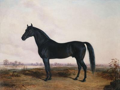 'Manbrino Patchen 58, in an Extensive Landscape, 1867' Giclee Print ...