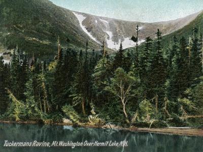 'Hermit Lake, NH - View of Tuckermans Ravine, Mt. Washington' Art Print ...