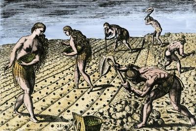 History of Indigenous Peoples: American Indians Using Whale Bones as a ...
