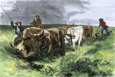 History of the Settlers and the Conquete of the West: American Pioneers ...