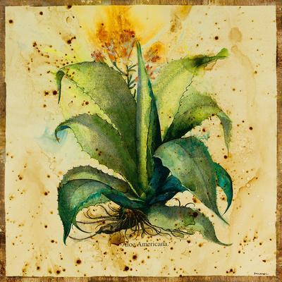 'Aloe IV' Giclee Print - Hollack | Art.com