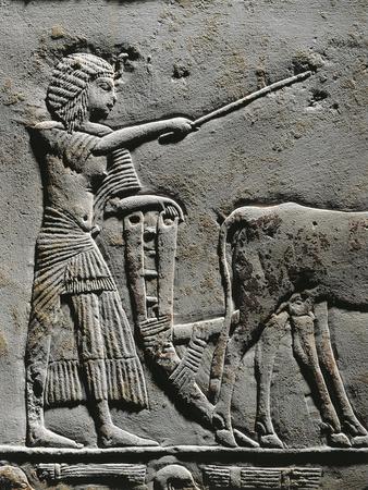 'Horemheb Ploughing Land in the Fields of Iaru, Relief from the Tomb of ...