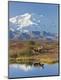 'Mt. Mckinley, Denali National Park, Alaska, USA' Photographic Print ...