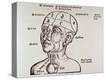 Human Head Mapping Sections of the Brain to Corresponding Body Parts ...