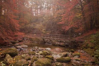 'Misty Autumn Valley Near Ambleside, Lake District National Park ...