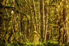 'Slow Exposure of Water Flowing Below Vernal Falls with Granite ...