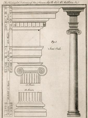 'Illustration of Ionic Order of Columns' Giclee Print | Art.com
