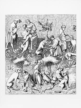 Illustration of the Care and Diseases of Hunting Dogs after Gaston ...