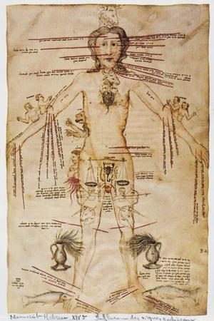 Zodiac human form 60 photos - Astrologytoyou.com