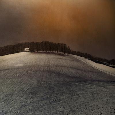 'Landscape' Giclee Print - Inge Schuster | Art.com