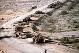 'Iraqi Armored Column During Operation Desert Storm, Mar. 4 1991' Photo ...