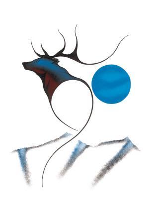 Native American Animals